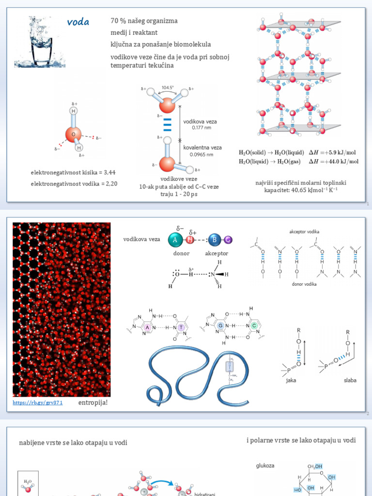 P2 - Voda Kiseline Puferi | PDF