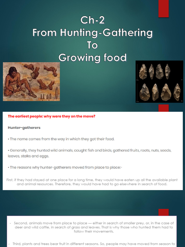 Evolution from Nomads to Farmers | PDF | Hunter Gatherer | Hunting