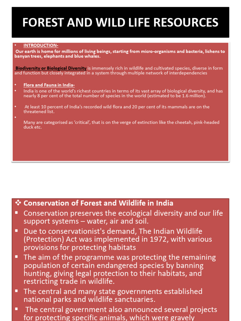 Forest and Wild Life Resources Note | PDF | Biodiversity | Conservation ...