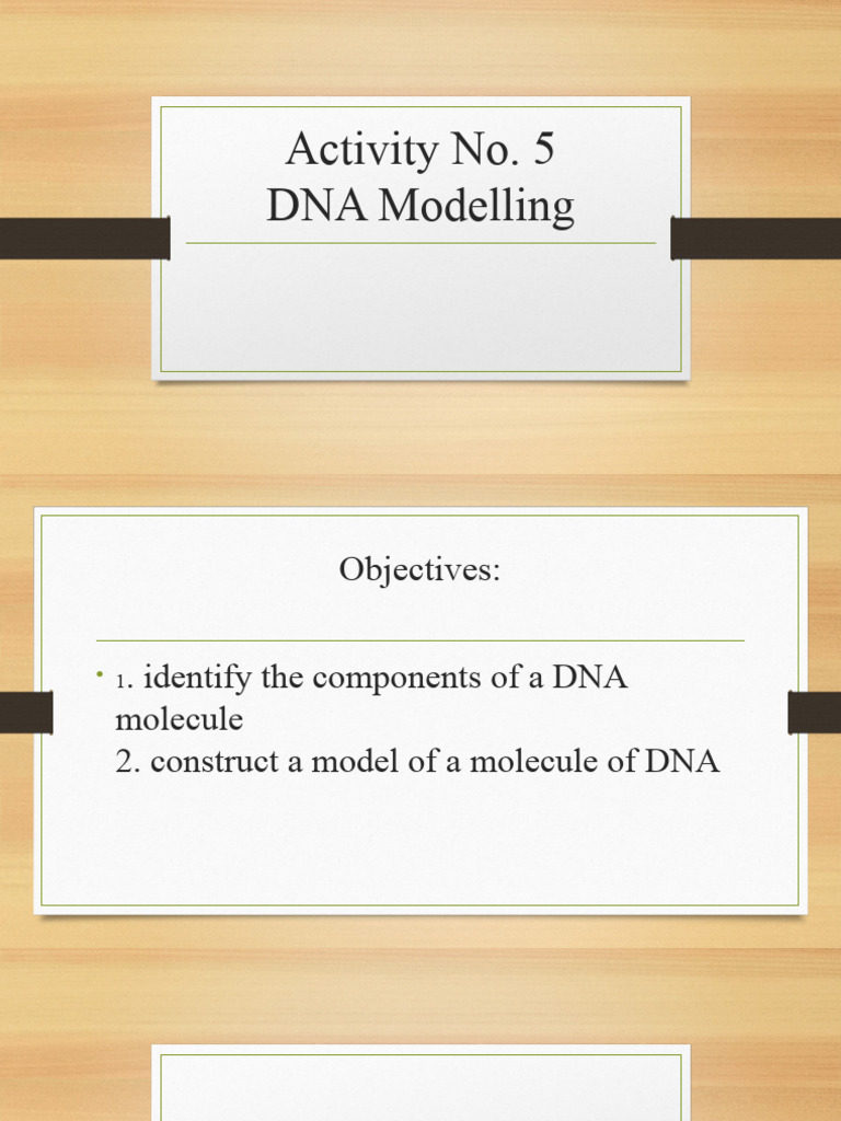 Dna Activity | PDF