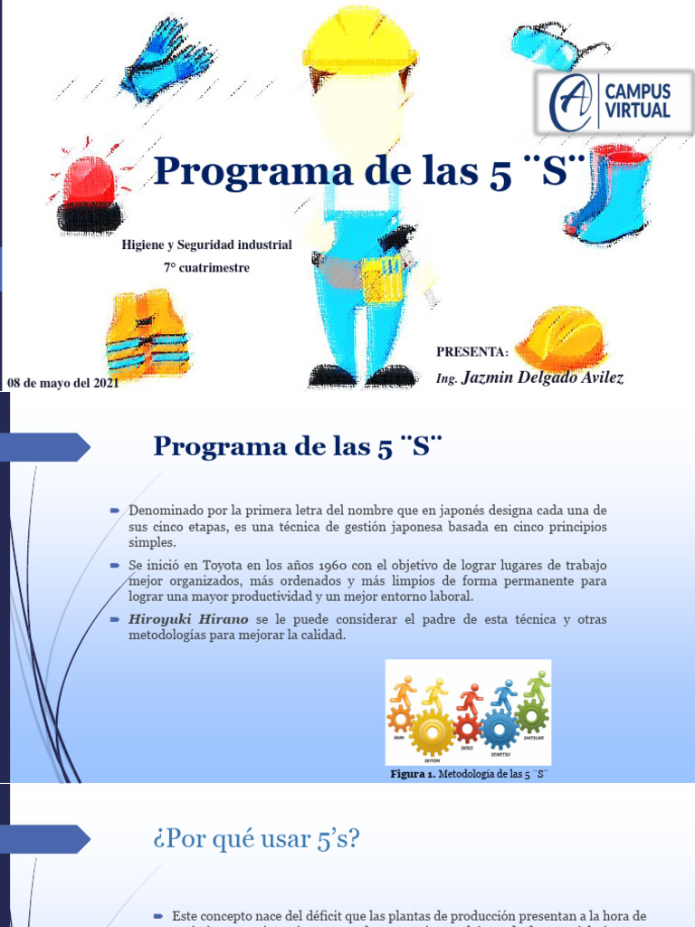 Programa de Las 5 "S" | PDF | Disciplinas