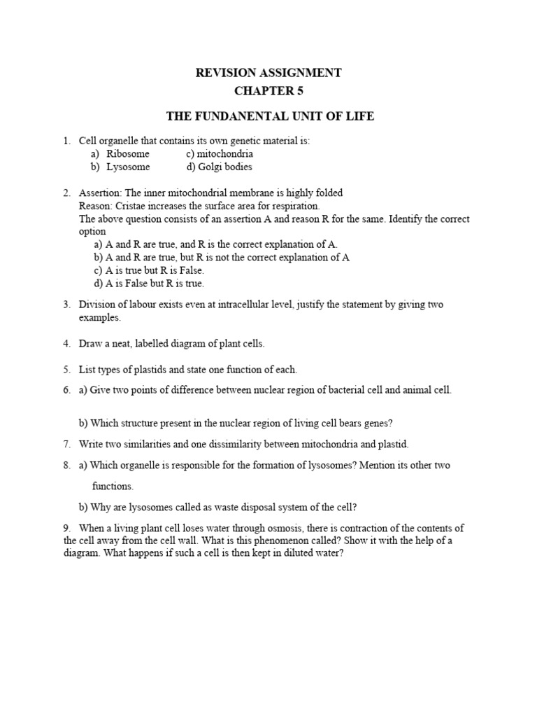 CH 5. Revision Assignment-1 | PDF