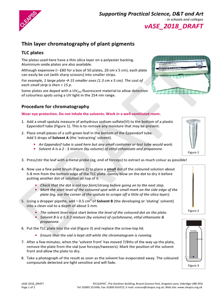 Thin Layer Chromatography of Plant Pigments | PDF | Thin Layer ...