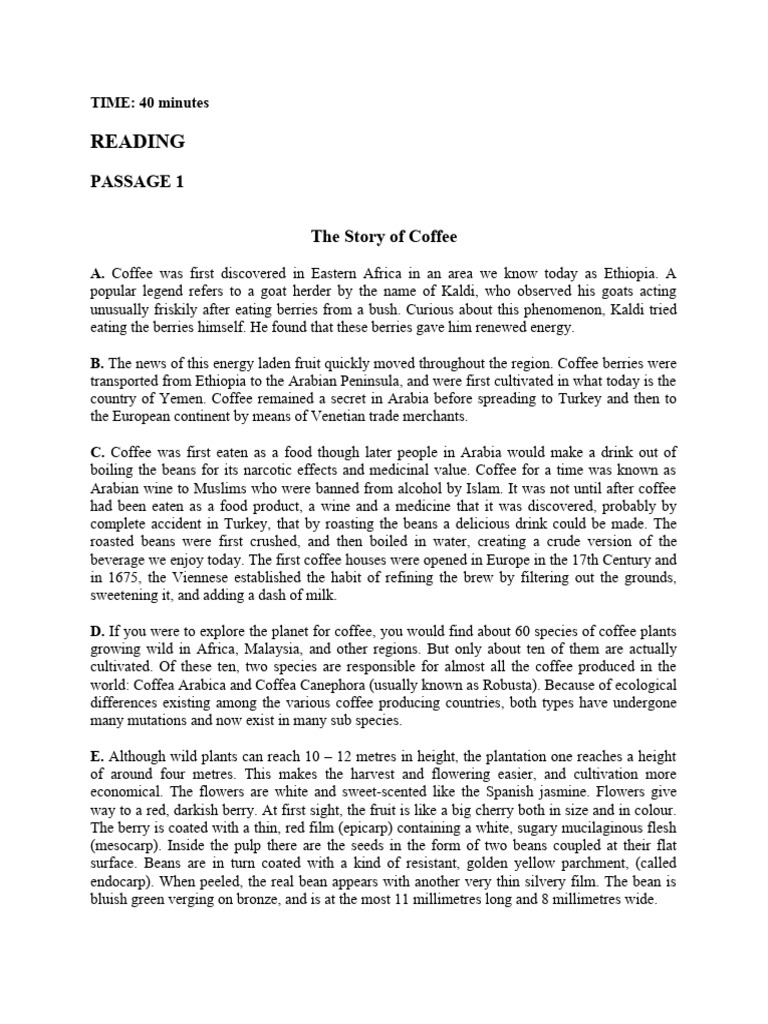 Moodle Task 3 Pdf Coffee Drink