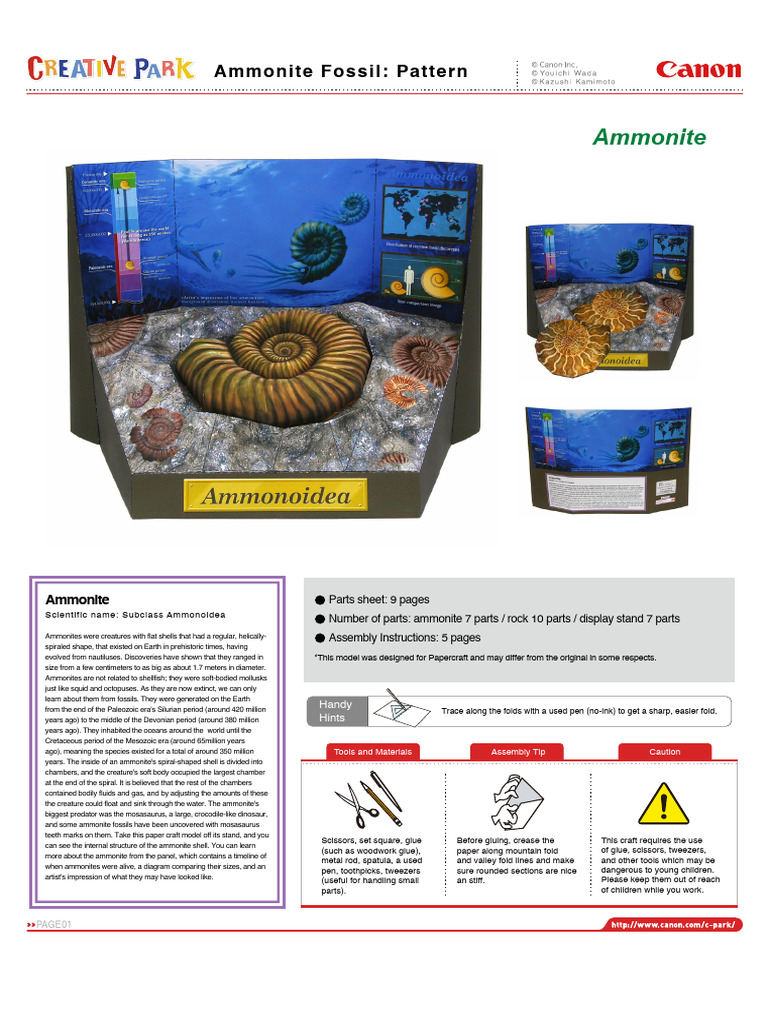 Ammonite Papercraft Model Guide | PDF | Paleontology