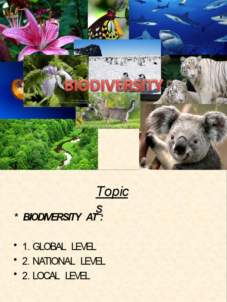 Biodiversity | PDF | Biodiversity | Conservation Biology