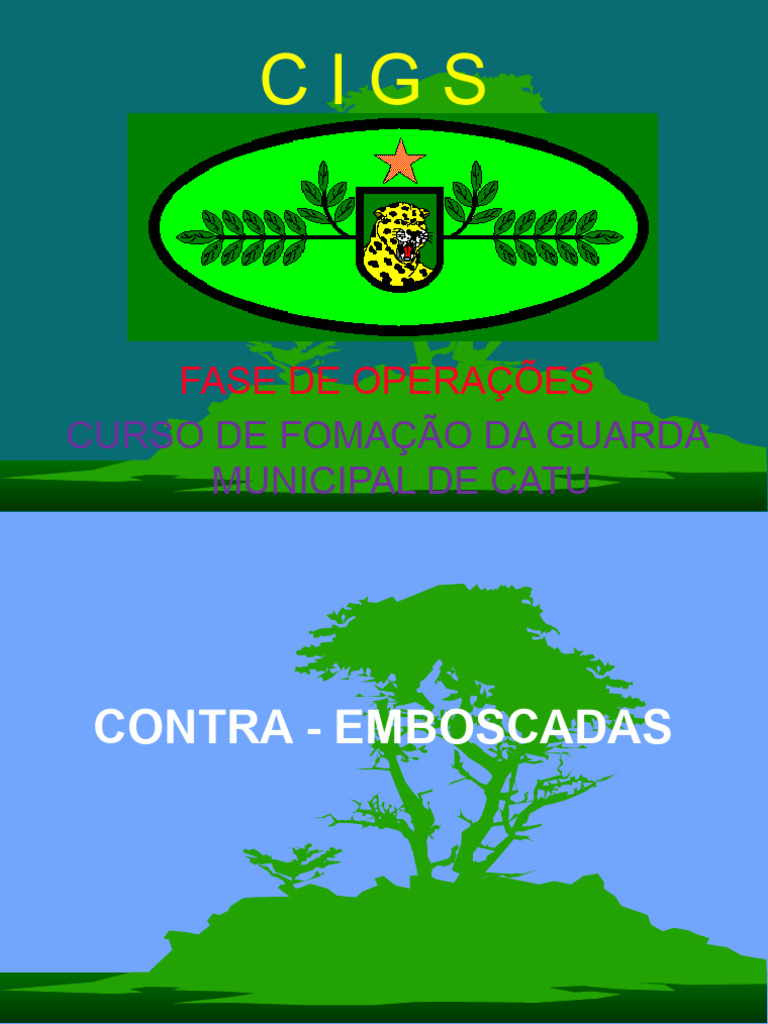 Contra-Emboscadas: Táticas e Prevenção | PDF | Operações militares ...