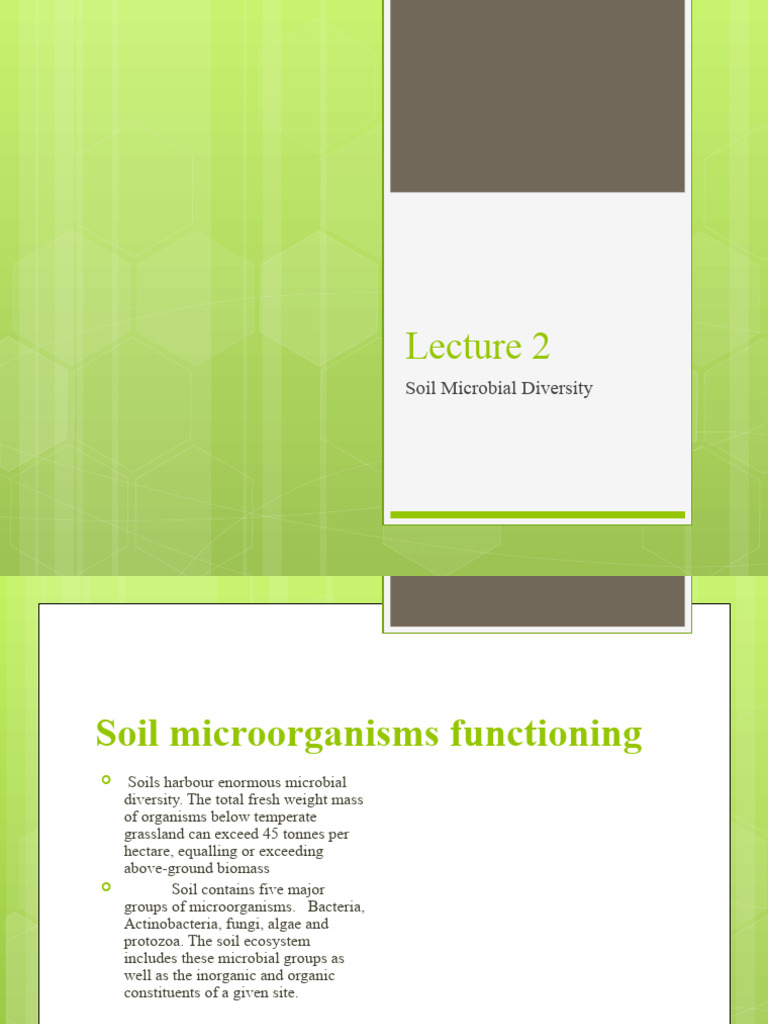 SRMclass2 Soil Micro | PDF | Soil | Biology