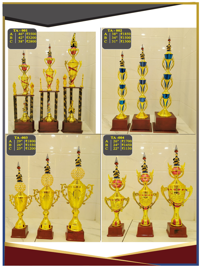 Dahi Hundi Trophy-1 | PDF