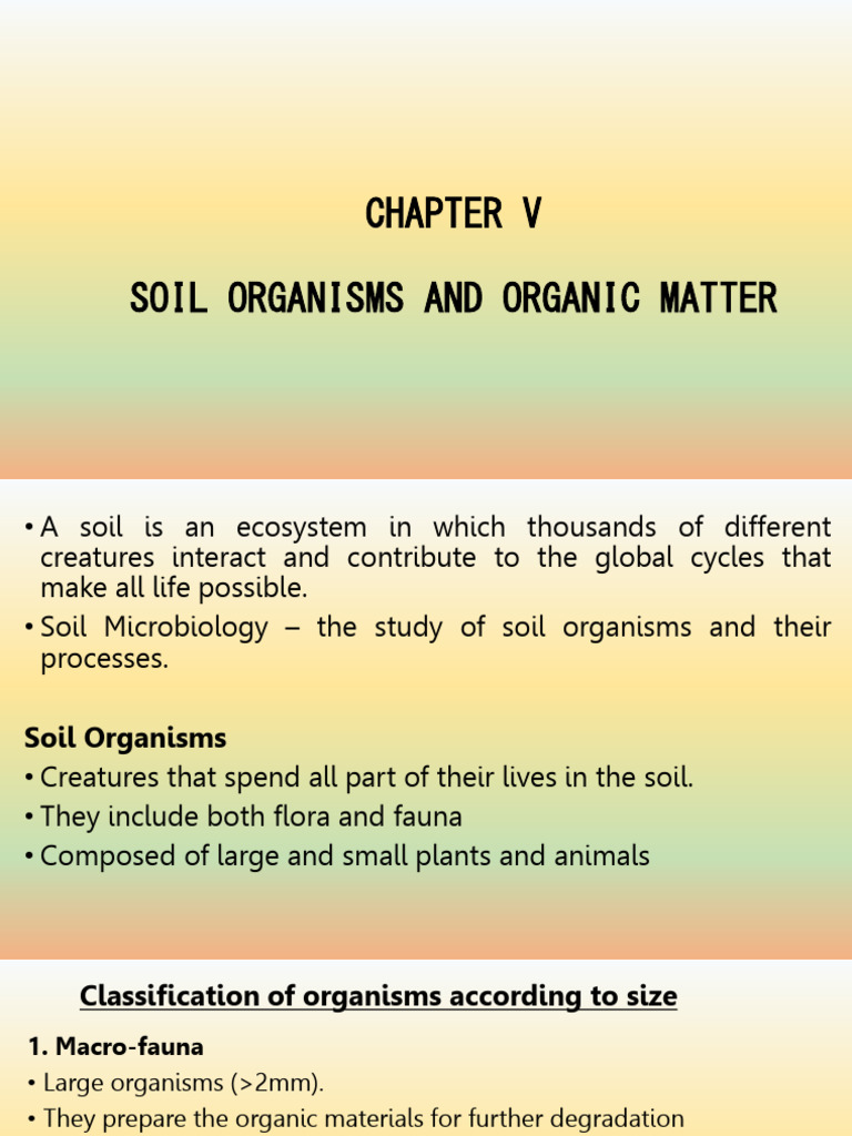 Soil Organisms | PDF | Soil | Organic Matter