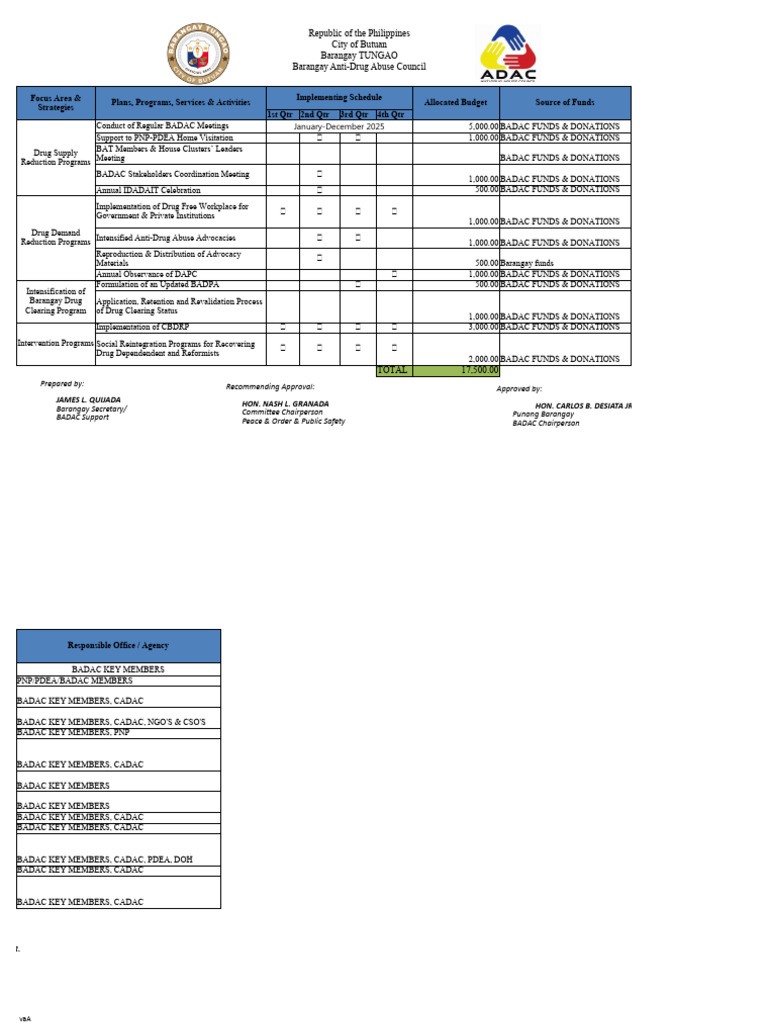 BADAC Action Plan 2025 Overview | PDF | Public Sphere | Health Policy