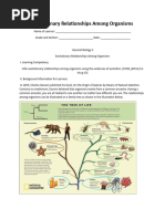 Ancestral vs Derived Traits Explained | PDF | Phylogenetics ...
