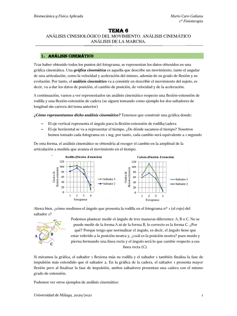 Biomecánica Tema 6 Mcg Pdf Cinemática Rodilla