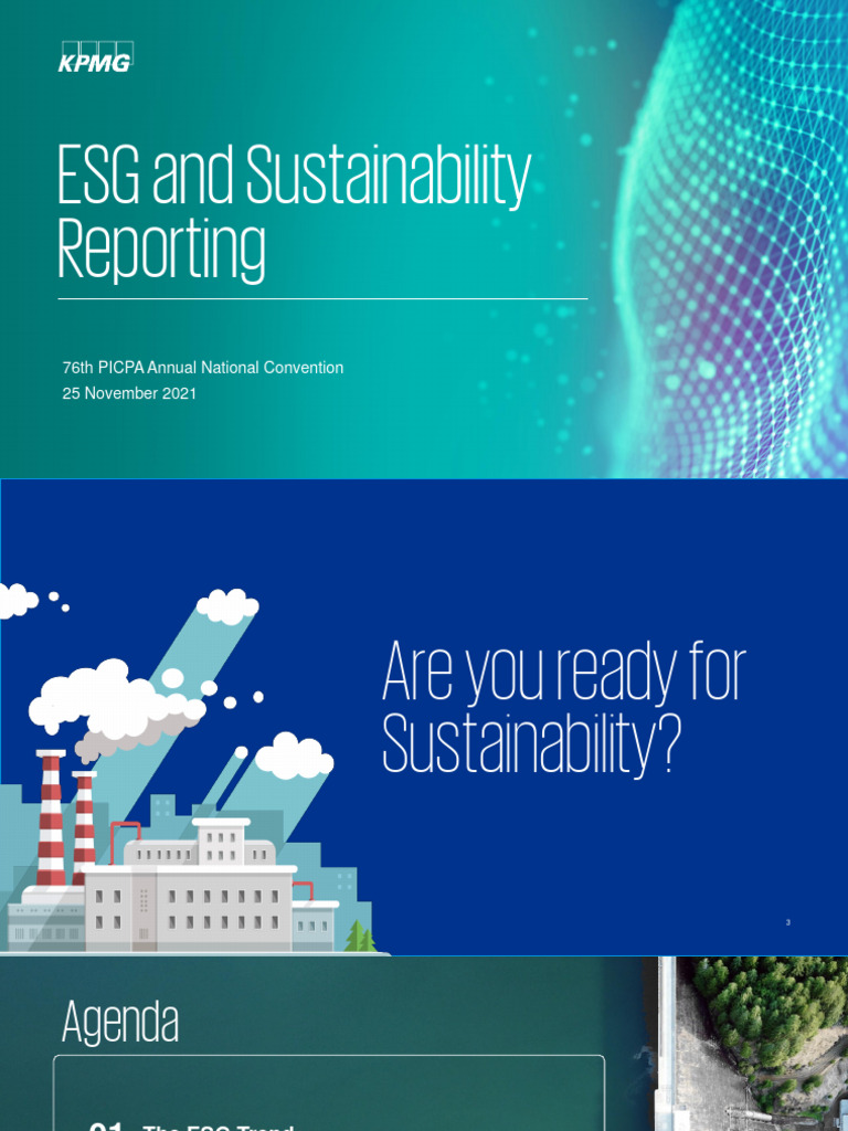 PICPA ANC 2021 ESG and Sustainability Reporting | PDF | Sustainability | Business