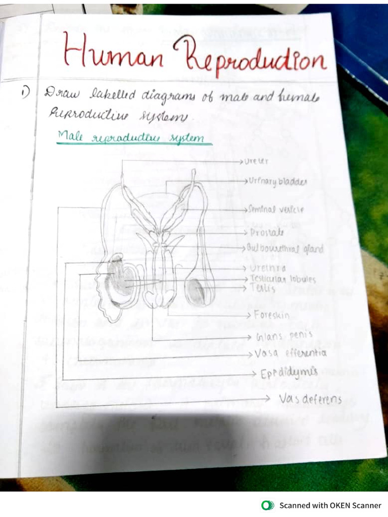 Zoology Assignment - 1 | PDF