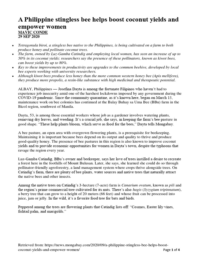 Philippine Bees Boost Coconut Yields | PDF | Bees | Honey Bee