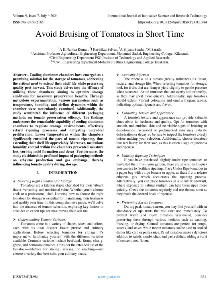 Avoid Bruising of Tomatoes in Short Time | PDF | Tomato | Decomposition