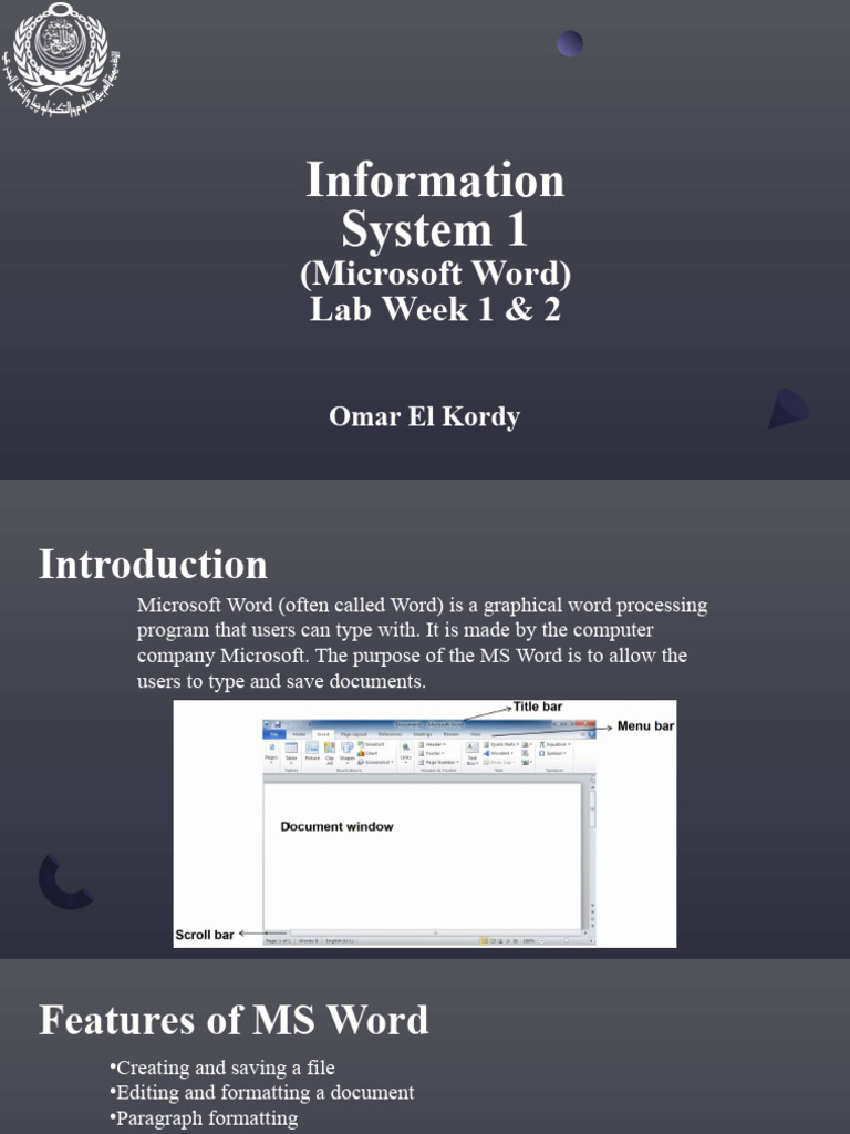 Information System 1 - Lab Week 1 & 2 | PDF