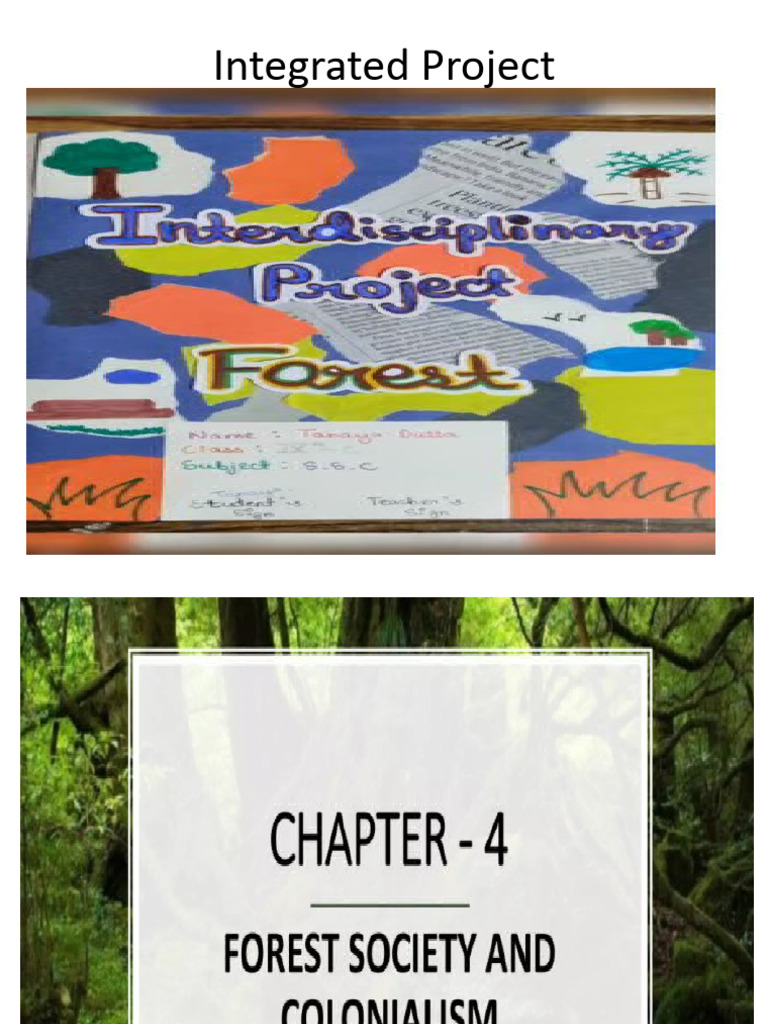 Integrated Project | PDF | Forests | Plantation