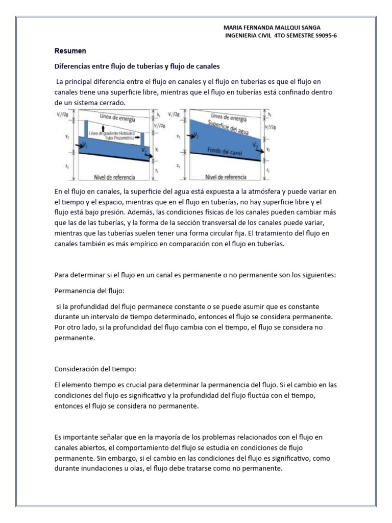 Resumen Diferencias de Flujo | PDF | Numero Reynolds | Flujo laminar