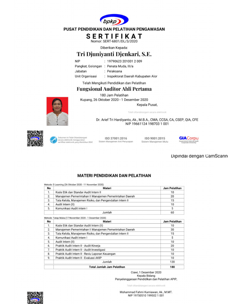 Sertifikat Mengikuti Diklat Auditor | PDF