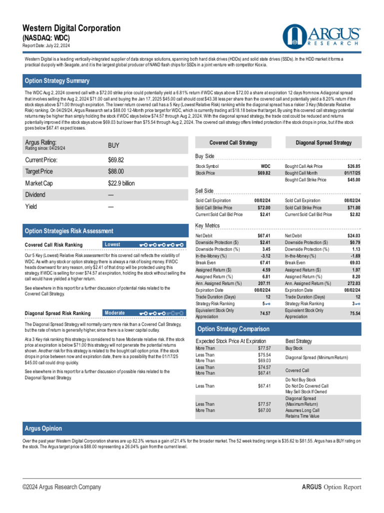 WDC ArgusOptionsReport 07222024 | PDF | Option (Finance) | Investing