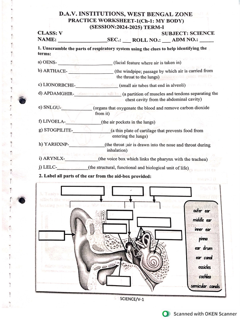 Science Workbook | PDF