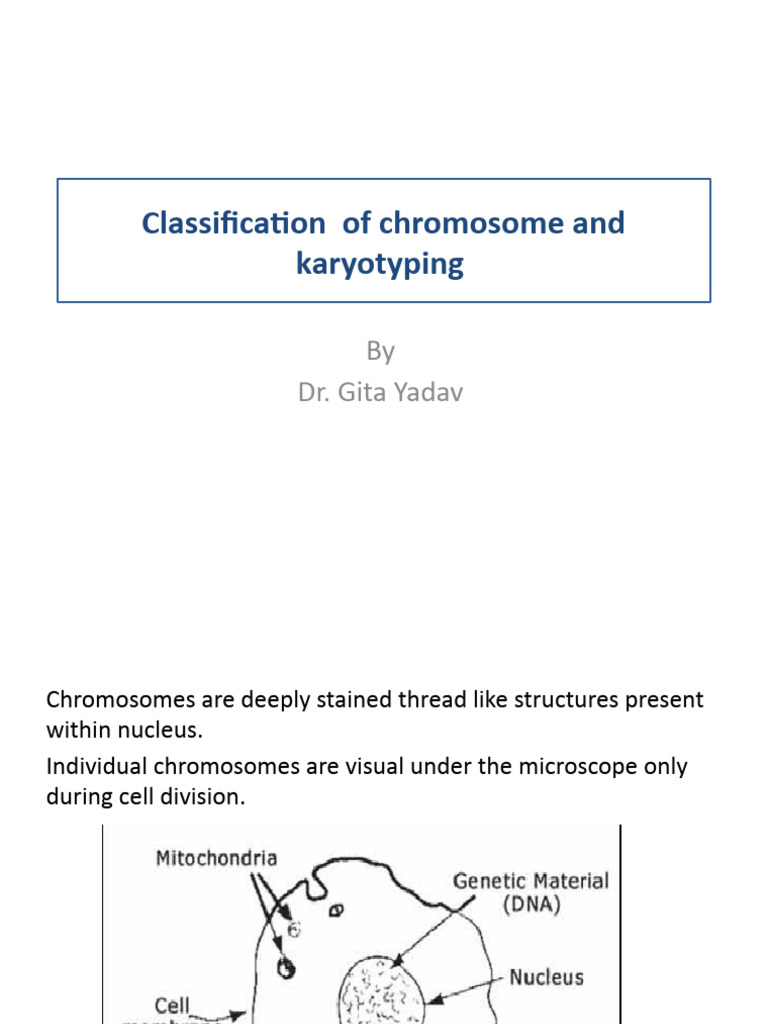 Classification of Chromosome | PDF | Chromosome | Karyotype