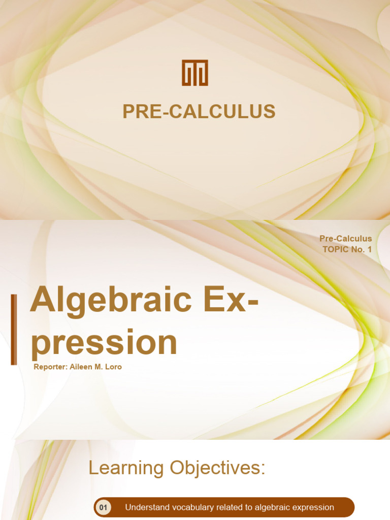 Understanding Algebraic Expressions | PDF | Variable (Mathematics ...