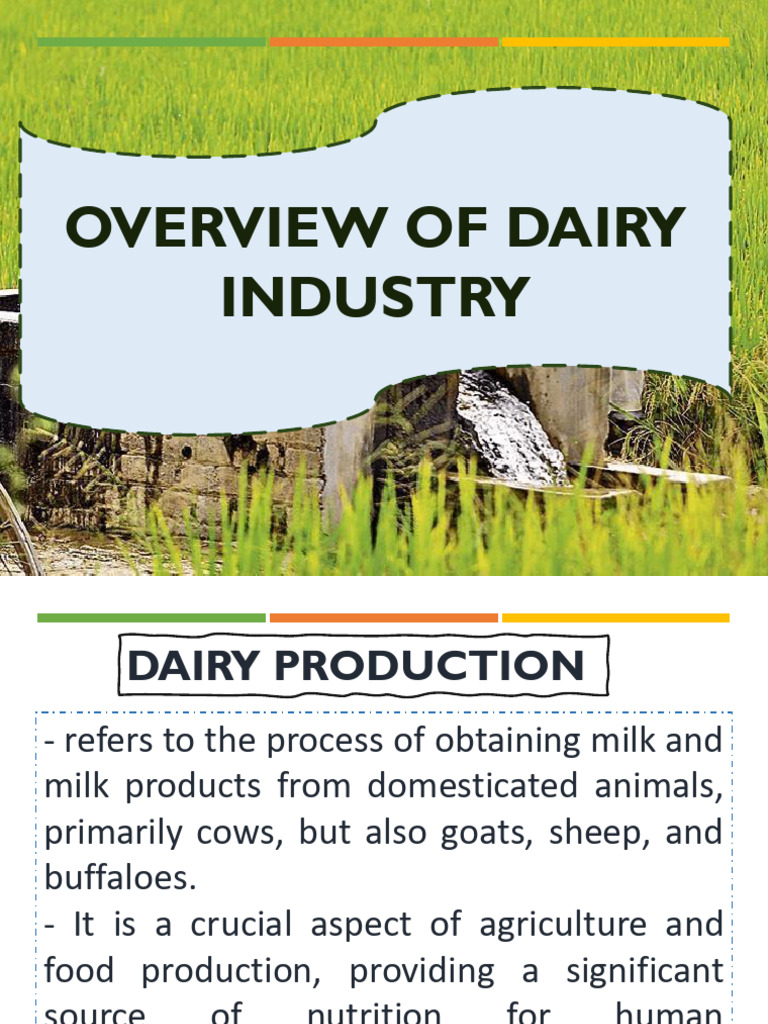 Module 1 - Overview of Dairy Industry | PDF | Dairy Farming | Dairy Cattle