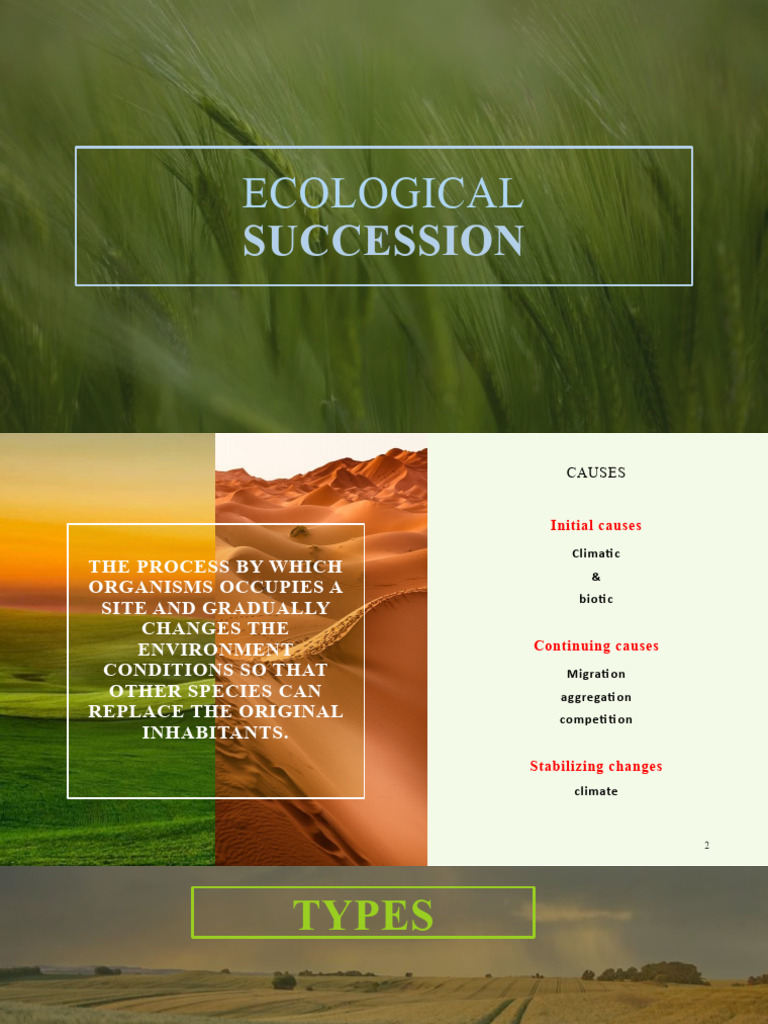 Ecological | PDF | Technology & Engineering