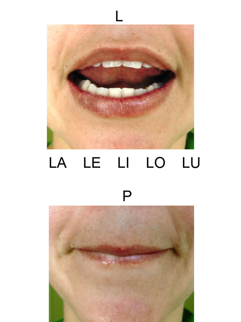 2 - L - P - V - T - M | PDF