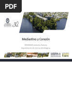 Esqueleto Fibroso del Corazón: Funciones y Estructura | PDF | Corazón ...