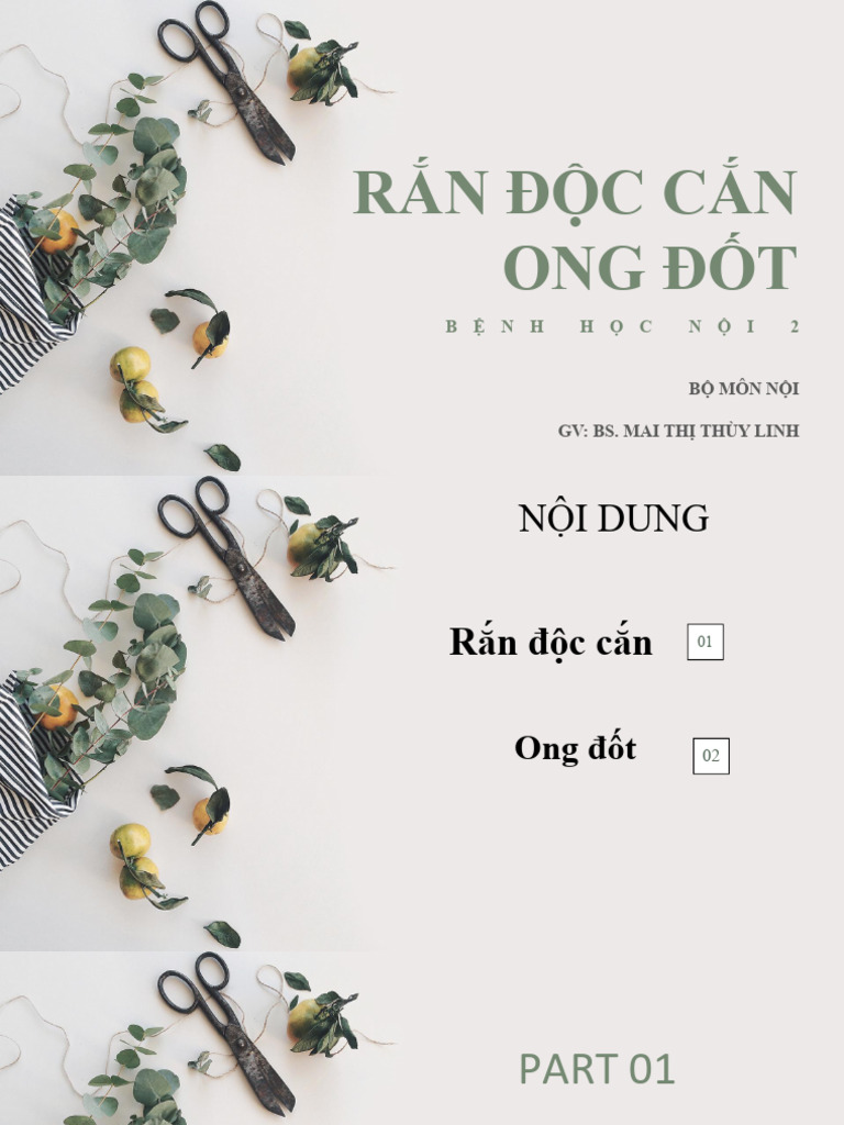 Ran Can - Ong Dot | PDF