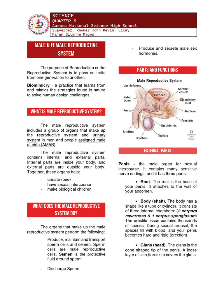 Science 10 q3 Reviewer Real | PDF | Menstrual Cycle | Luteinizing Hormone