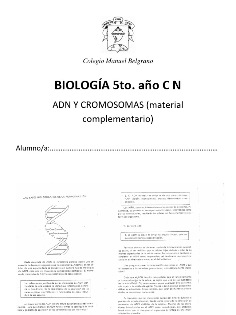 ADN y Cromosomas (Material Complementario) | PDF