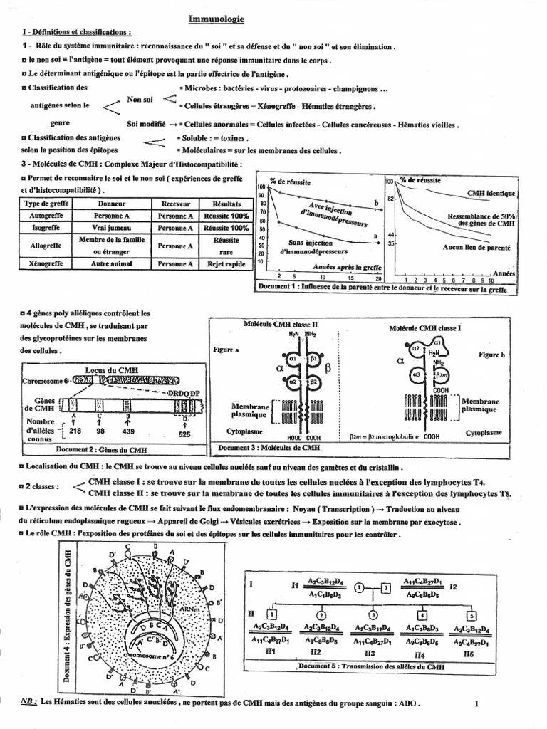 Immuno Logie | PDF