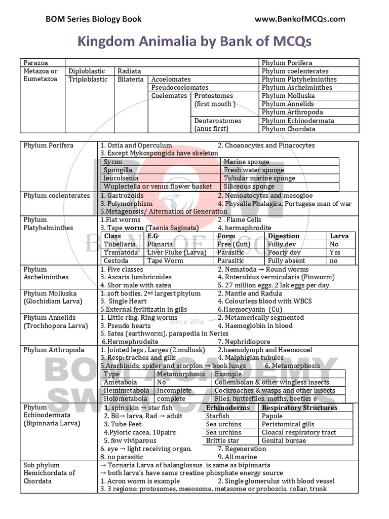 Animalia On 2 Pages | PDF | Mammals | Zoology