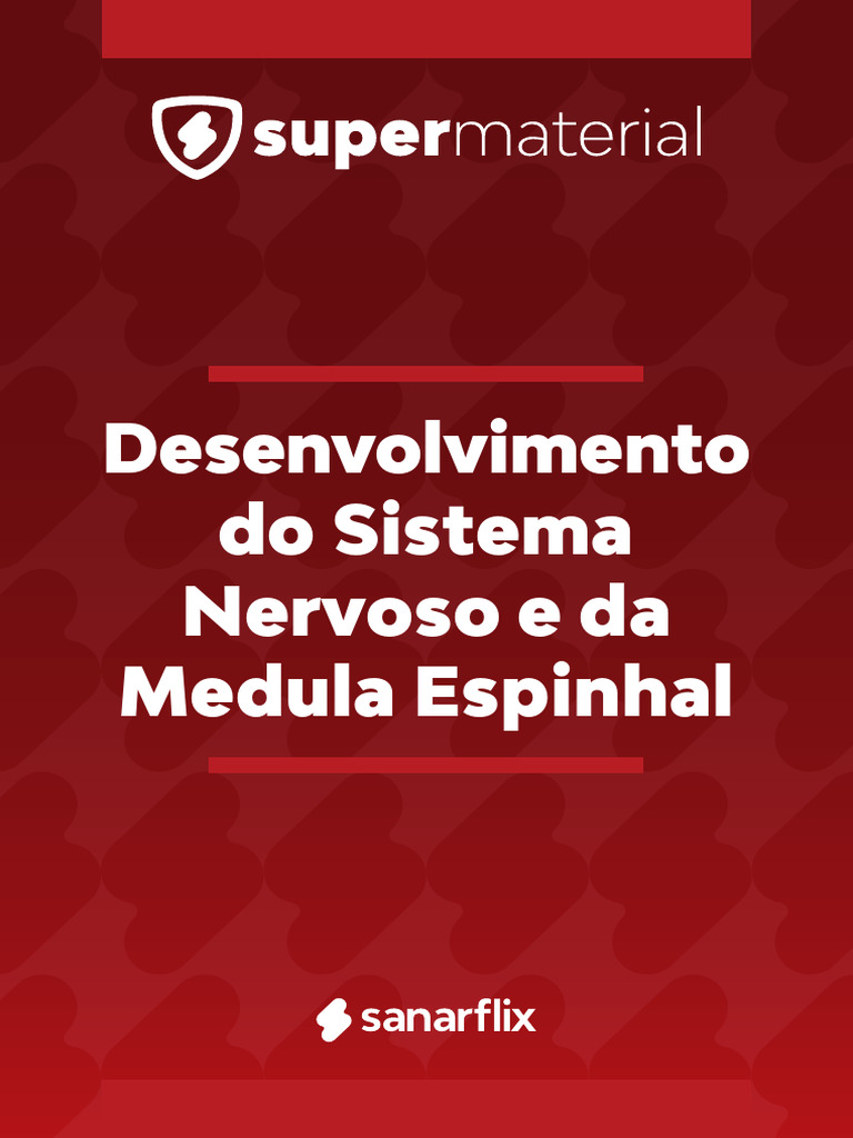 Resumo Super Material Desenvolvimento Do Sistema Nervoso e Da Medula ...