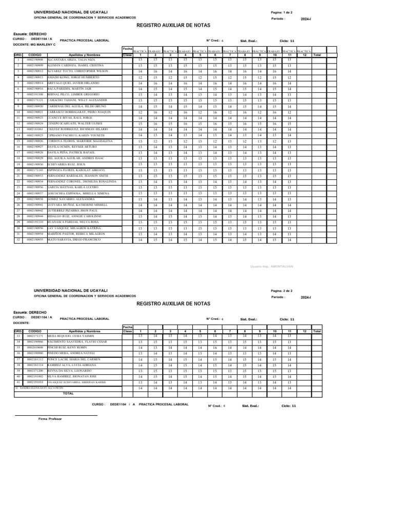 XI PRACTICA PROCESAL LABORAL GR A LISTA DE ALUMNOS Mod | PDF