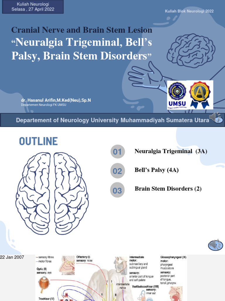 Cranial Nerve and Brain Stem Lesion KULIAH 2022 | PDF | Brainstem | Anatomy