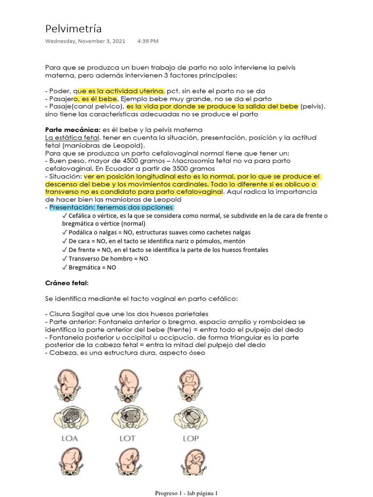 Pelvimetría | PDF | Pelvis | Parto