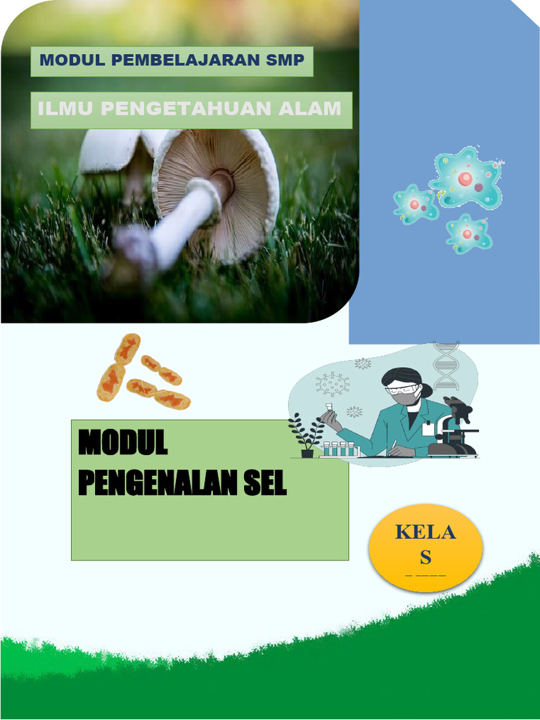 Modul Sel Kelas Viii 2023 | PDF