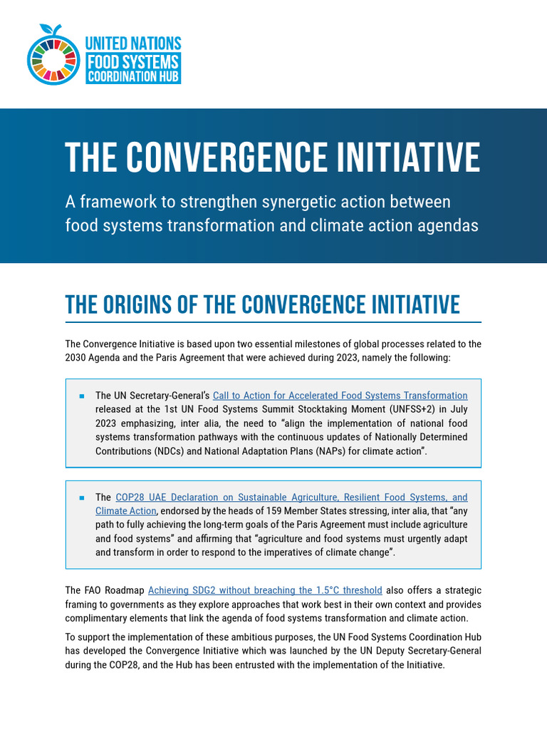 The Convergence Initiative Framework Brochure | PDF | Food And ...