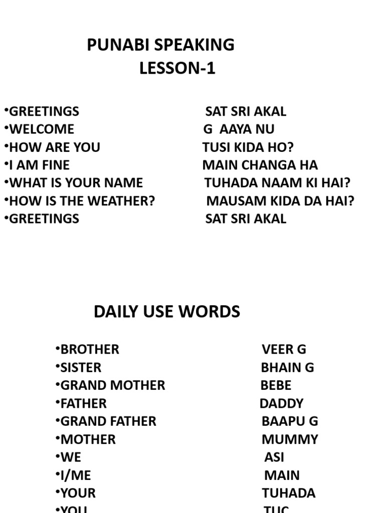Lessons Punabi | PDF