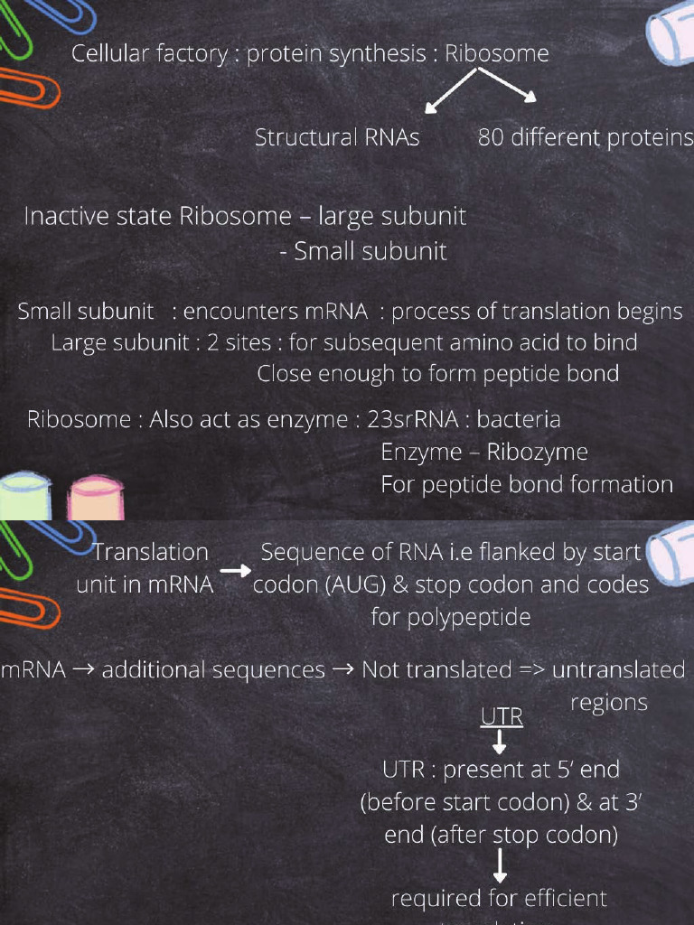 Molecular Basics of Inheritance Notes Class 12 | PDF