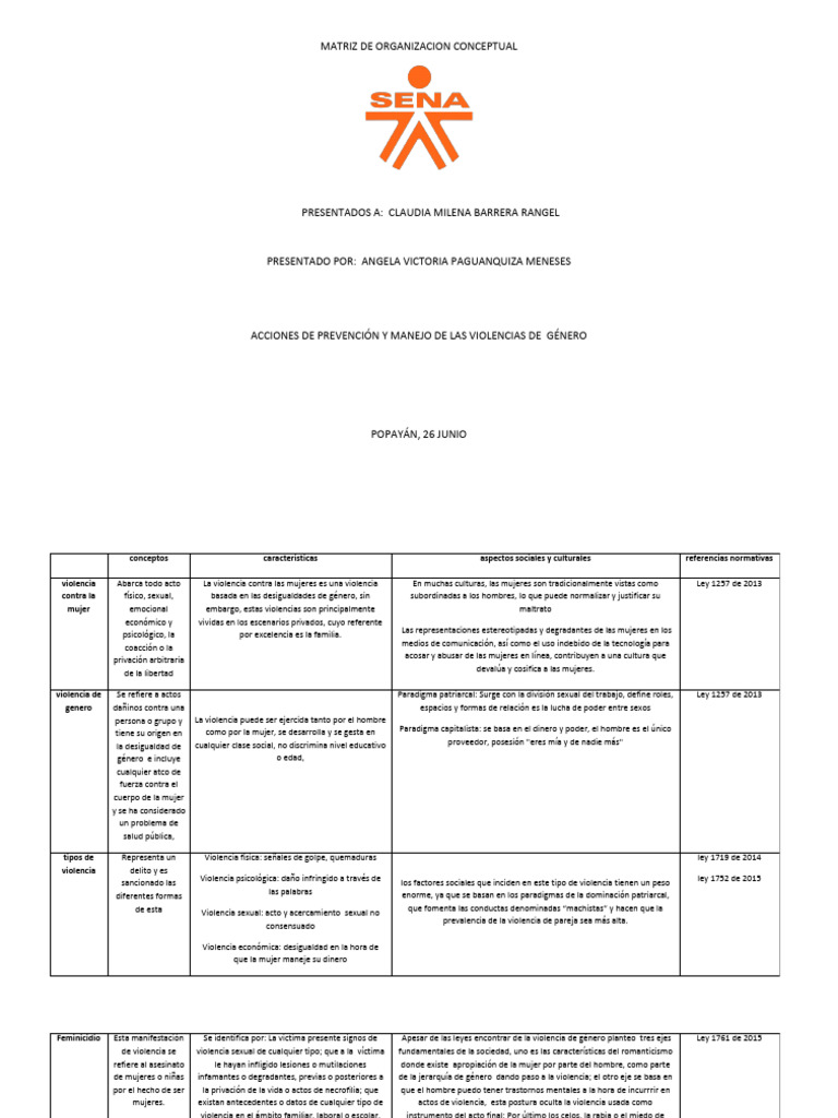 Matriz de Conceptos | PDF | Violencia | La violencia contra las mujeres