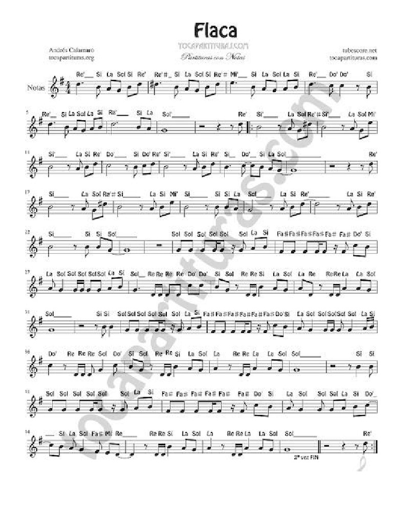 Andres Calamaro - Flaca Con Notas | PDF