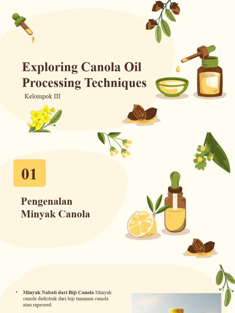 Processing Canola Oil | PDF