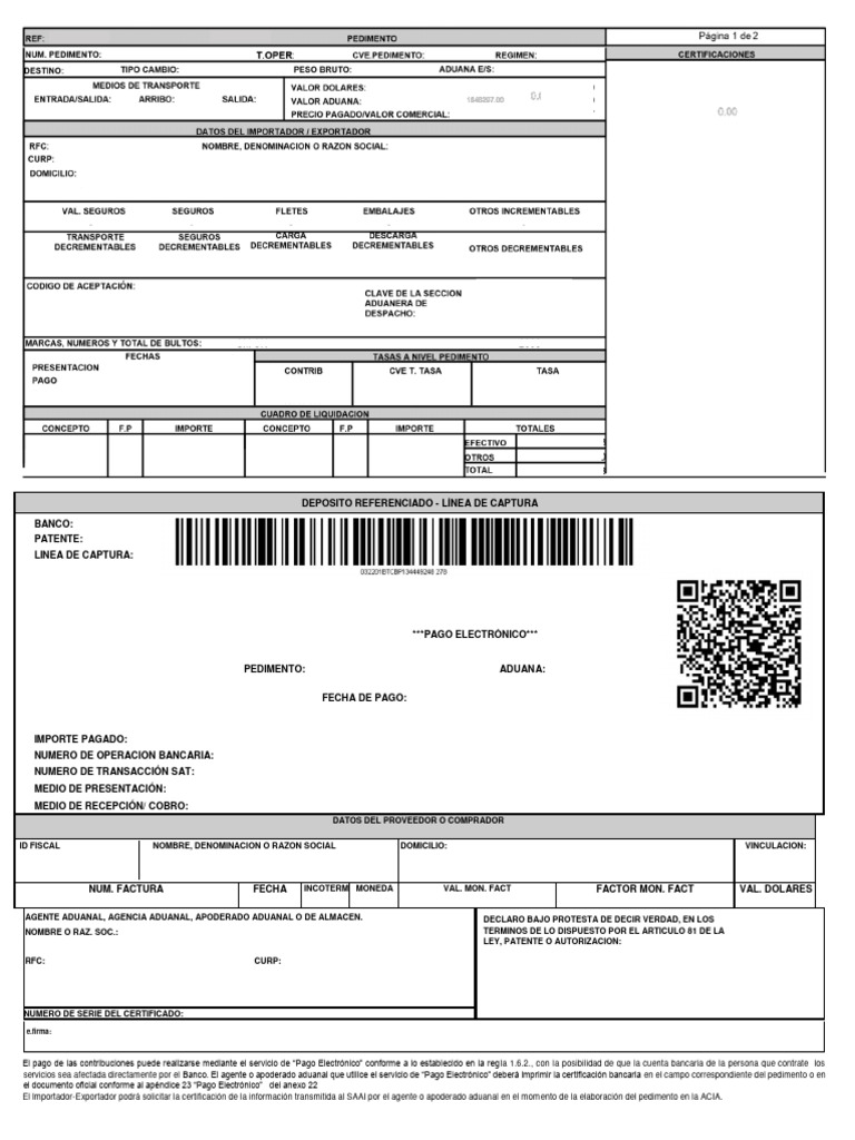 PEDIMENTO en Blanco | PDF | Bancos | Economias